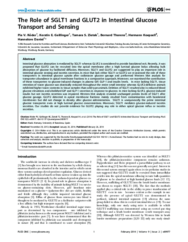 (PDF) The Role of SGLT1 and GLUT2 in Intestinal Glucose Transport and ...