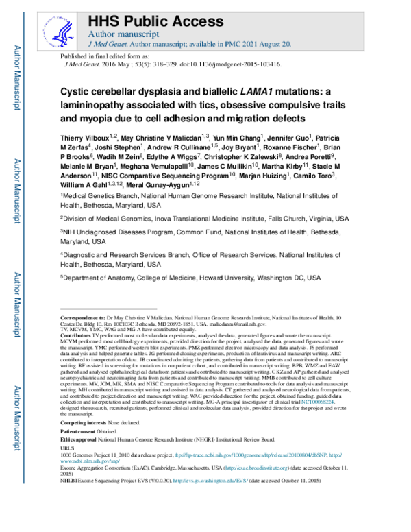 (PDF) Cystic cerebellar dysplasia and biallelicLAMA1mutations: a ...