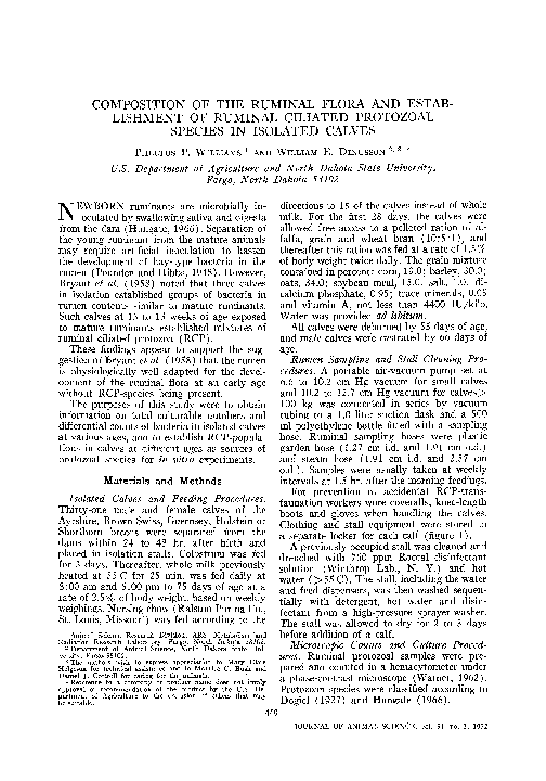 (PDF) Composition of the Ruminal Flora and Establishment of Ruminal ...