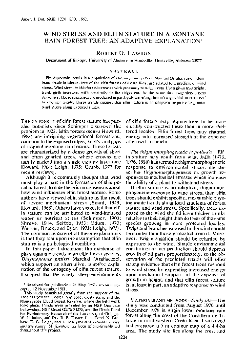 (PDF) Wind Stress and Elfin Stature in a Montane Rain Forest Tree: An ...
