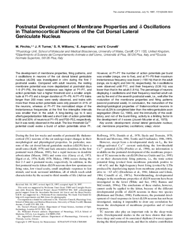 (PDF) Postnatal development of membrane properties of layer I neurons ...