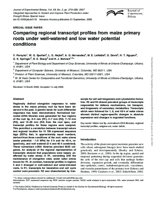(PDF) Comparing regional transcript profiles from maize primary roots ...