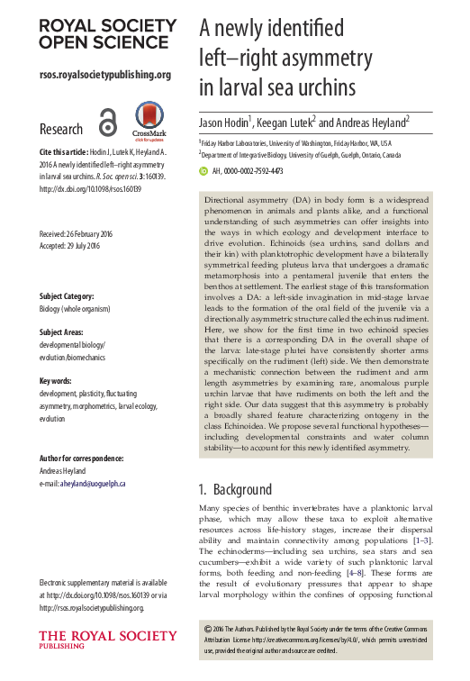 (PDF) A newly identified left–right asymmetry in larval sea urchins
