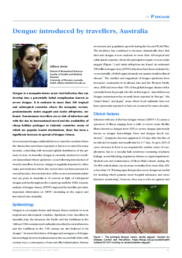 (PDF) Dengue introduced by travellers, Australia | Allison Imrie ...