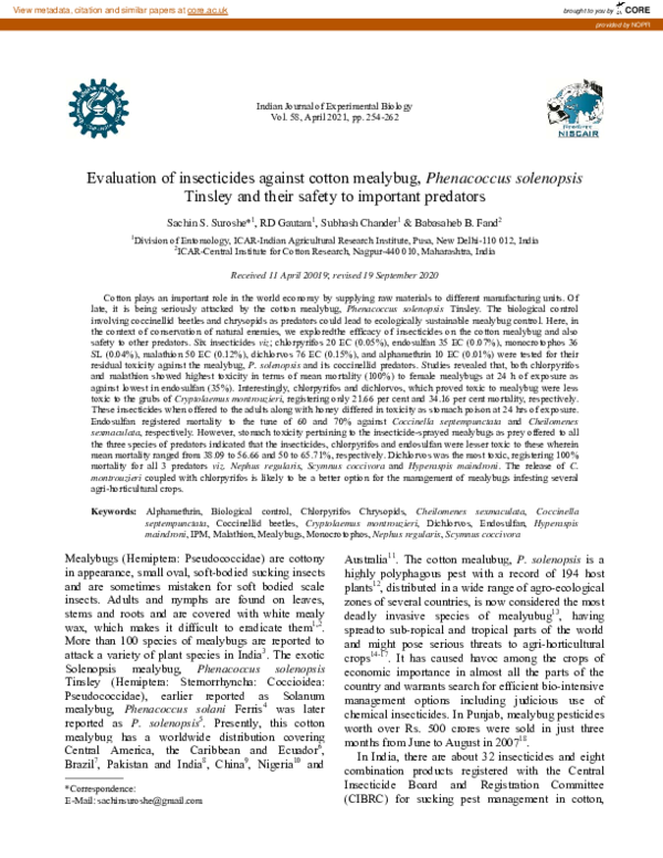 (PDF) Evaluation of insecticides against cotton mealybug, Phenacoccus solenopsis Tinsley and ...