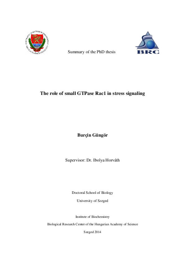 (PDF) The role of small GTPase Rac1 in stress signaling