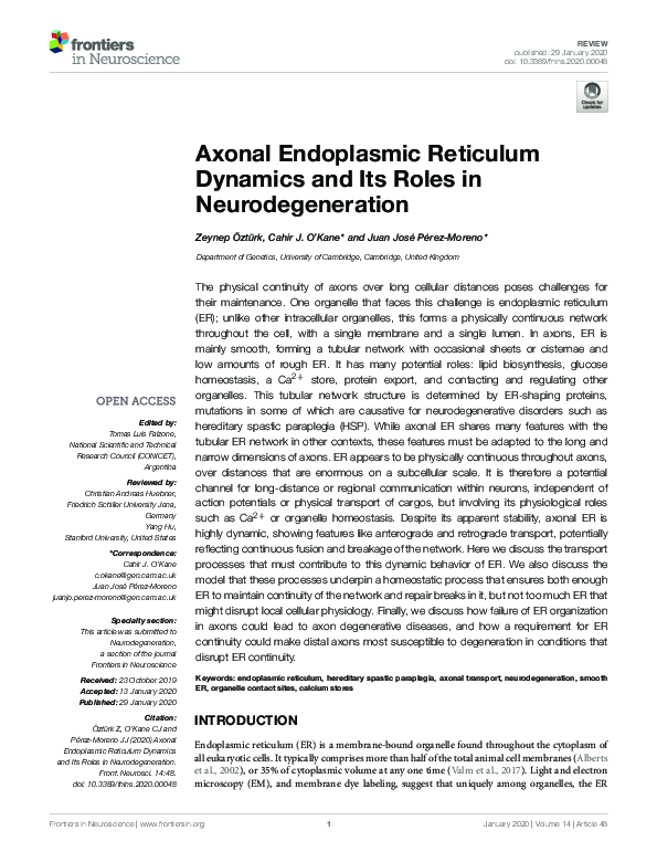 (PDF) Axonal Endoplasmic Reticulum Dynamics and Its Roles in Neurodegeneration