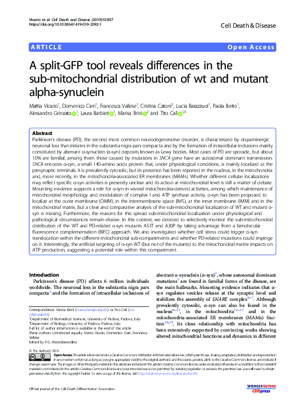 (PDF) A split-GFP tool reveals differences in the sub-mitochondrial ...