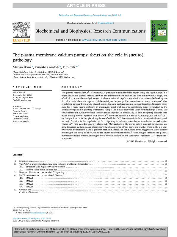 (PDF) The plasma membrane calcium pumps: focus on the role in (neuro ...