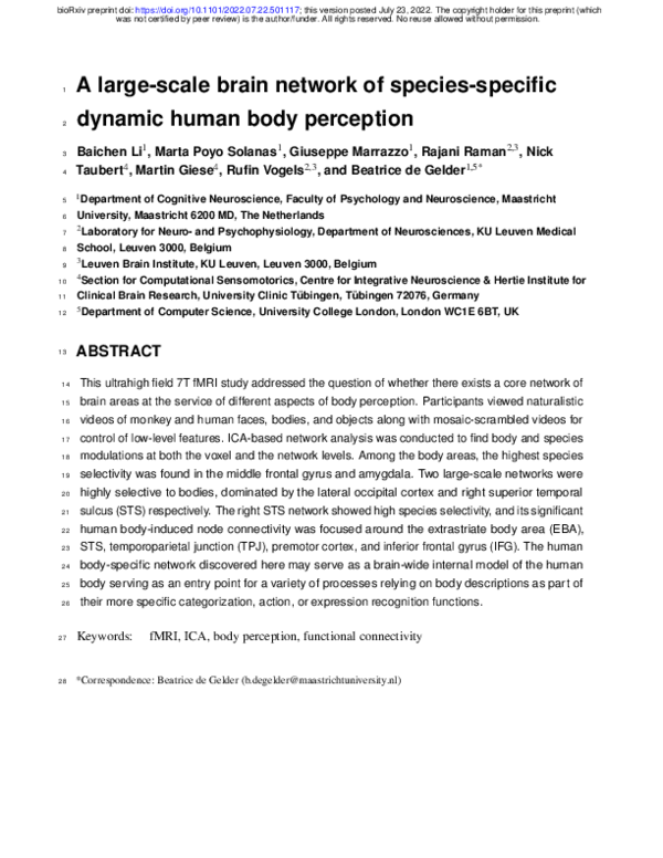(PDF) A large-scale brain network of species-specific dynamic human body perception