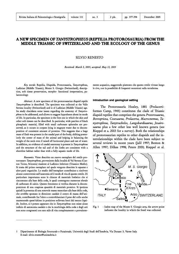 (PDF) A New Specimen of Tanystropheus (Reptilia Protorosauria) from the ...