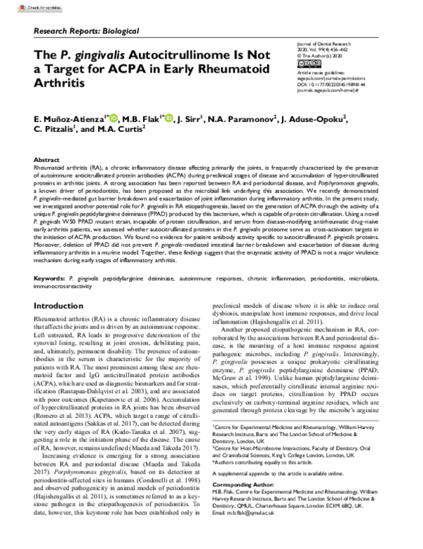 (PDF) The P. gingivalis Autocitrullinome Is Not a Target for ACPA in ...