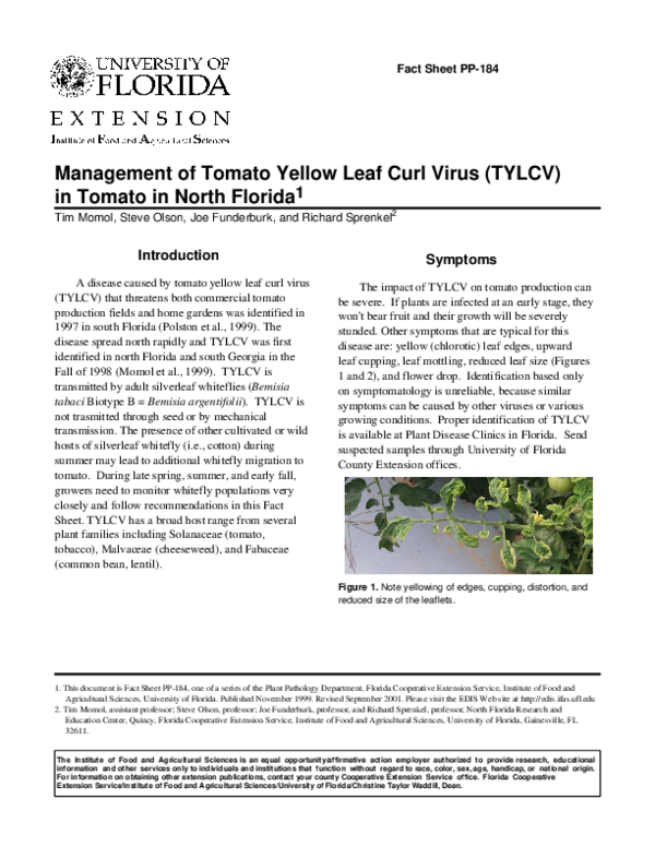 (PDF) Management of Tomato Yellow Leaf Curl Virus (TYLCV) in Tomato in ...