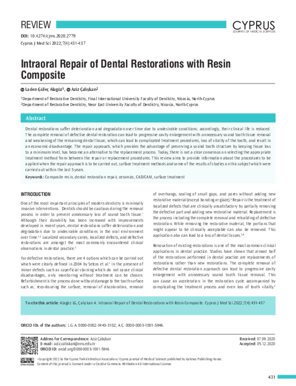 (PDF) Intraoral Repair of Dental Restorations with Resin Composite