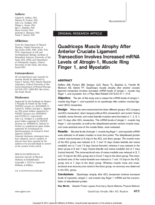 (PDF) Quadriceps Muscle Atrophy After Anterior Cruciate Ligament ...