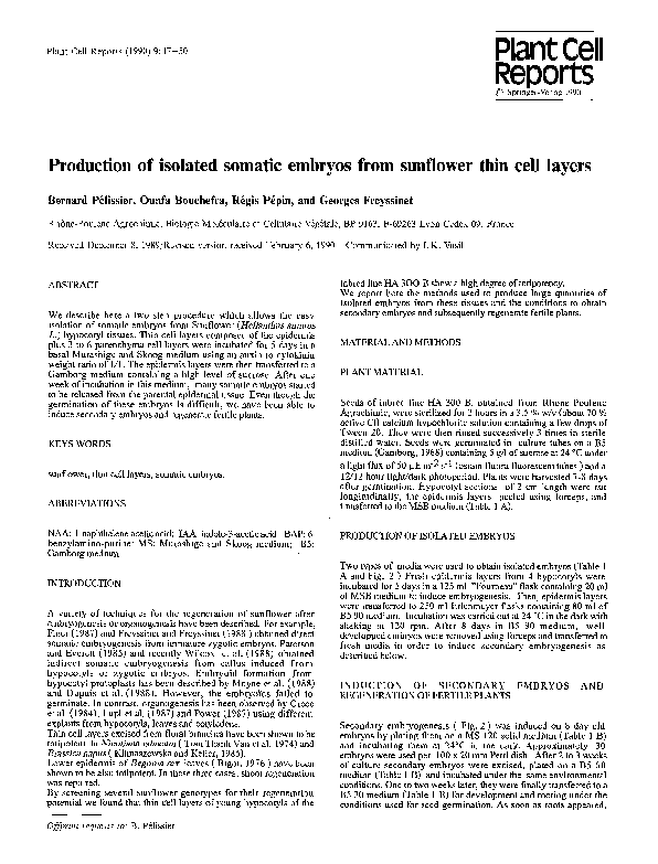 (PDF) Production of isolated somatic embryos from sunflower thin cell ...