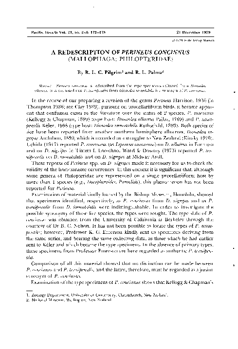 (PDF) A redescription of Perineus concinnus (Mallophaga: Philopteridae)