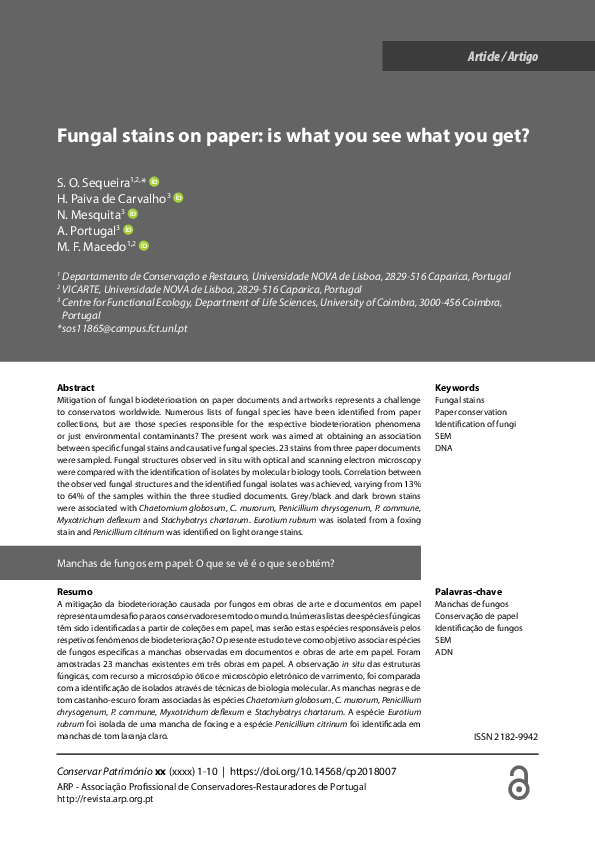 (PDF) Fungal stains on paper: is what you see what you get?