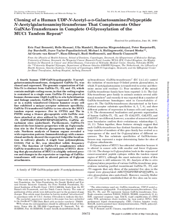 (PDF) Cloning of a Human UDP-N-Acetyl-α-d-Galactosamine:PolypeptideN ...