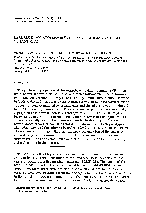 (PDF) Barrels in somatosensory cortex of normal and reeler mutant mice ...