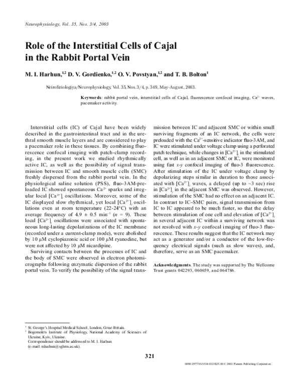 (PDF) Role of the Interstitial Cells of Cajal in the Rabbit Portal Vein ...