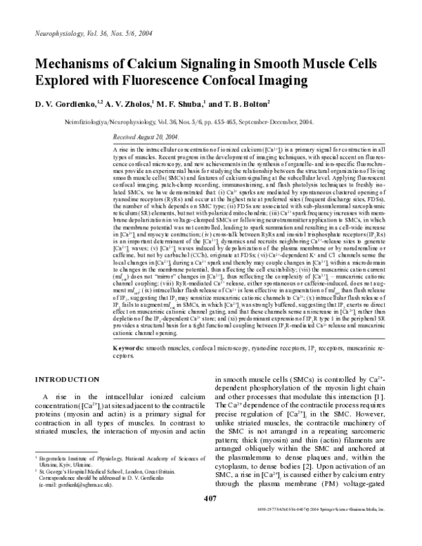 (PDF) Mechanisms of calcium signaling in smooth muscle cells explored ...