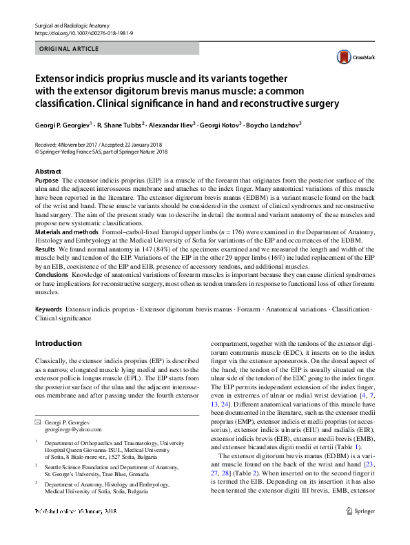 (PDF) Extensor indicis proprius muscle and its variants together with ...