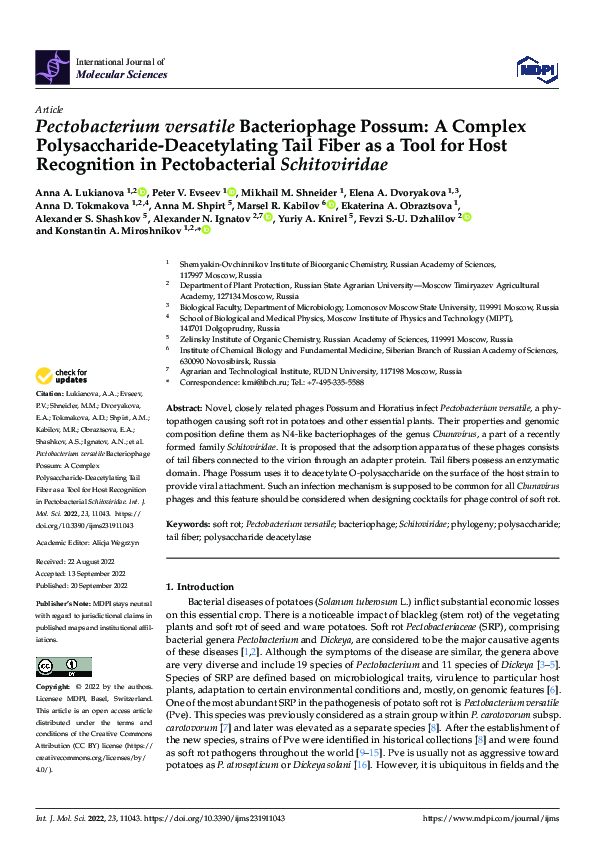 (PDF) Pectobacterium versatile Bacteriophage Possum: A Complex ...
