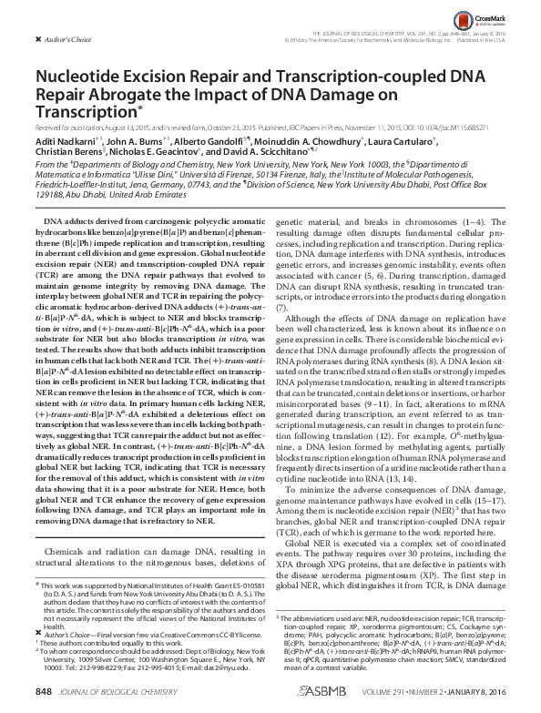 (PDF) Nucleotide Excision Repair and Transcription-coupled DNA Repair ...