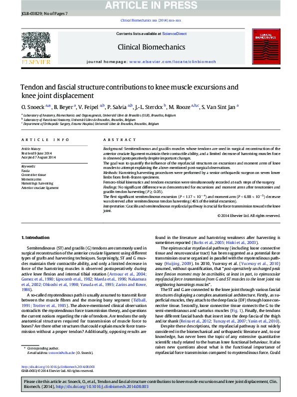 (PDF) Tendon and fascial structure contributions to knee muscle ...