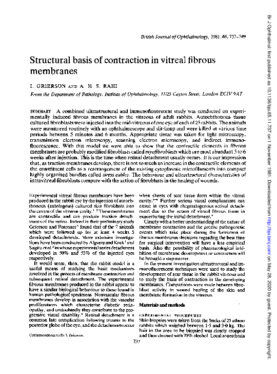 (PDF) Structural basis of contraction in vitreal fibrous membranes