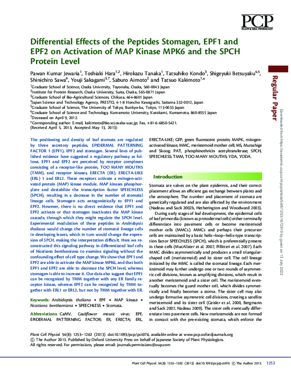 (PDF) Differential effects of the peptides Stomagen, EPF1 and EPF2 on ...