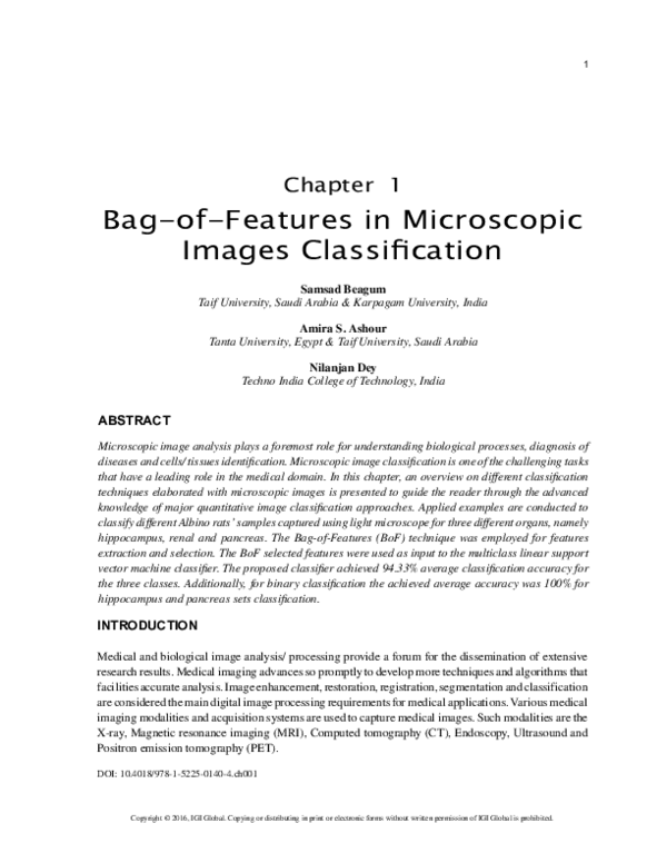 (PDF) Bag-of-Features in Microscopic Images Classification
