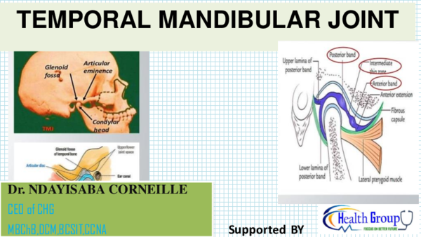 (PDF) TEMPORAL MANDIBULAR JOINT | DR NDAYISABA CORNEILLE - Academia.edu