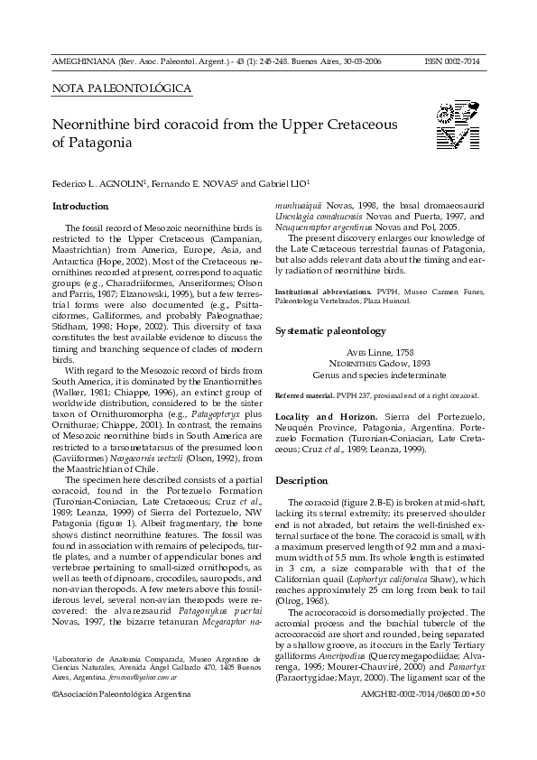 (PDF) Neornithine bird coracoid from the Upper Cretaceous of Patagonia