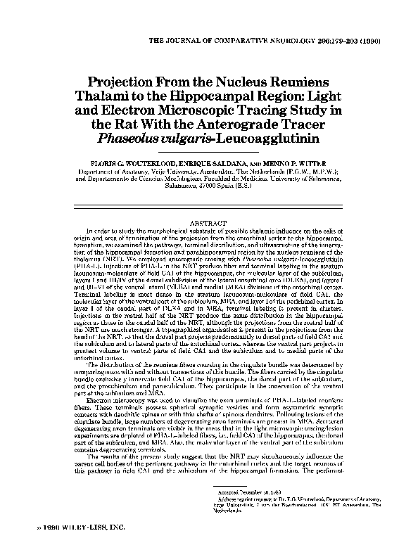 (PDF) Projection from the nucleus reuniens thalami to the hippocampal ...