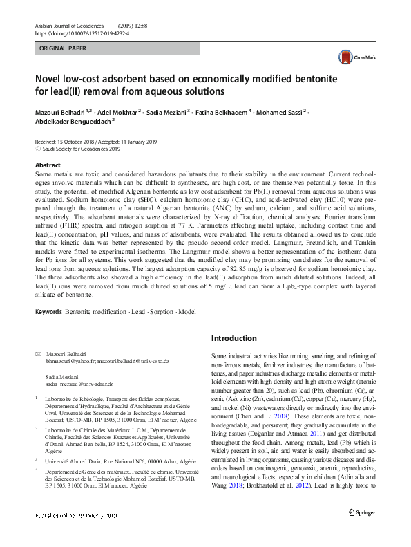 (PDF) Novel low-cost adsorbent based on economically modified bentonite for lead(II) removal ...
