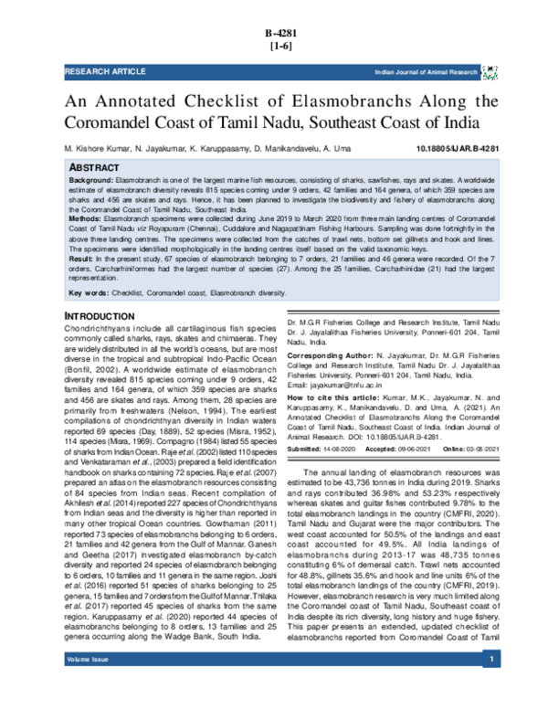 (PDF) An Annotated Checklist of Elasmobranchs Along the Coromandel ...