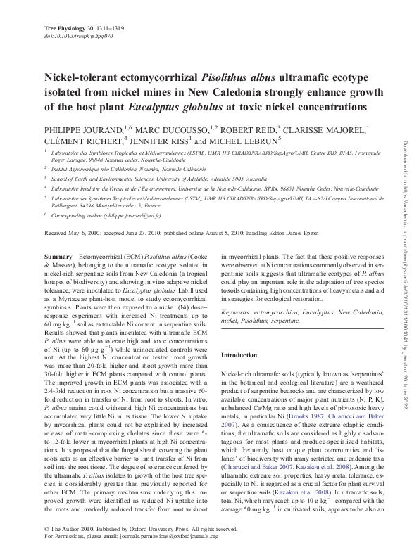 (PDF) Nickel-tolerant ectomycorrhizal Pisolithus albus ultramafic ...