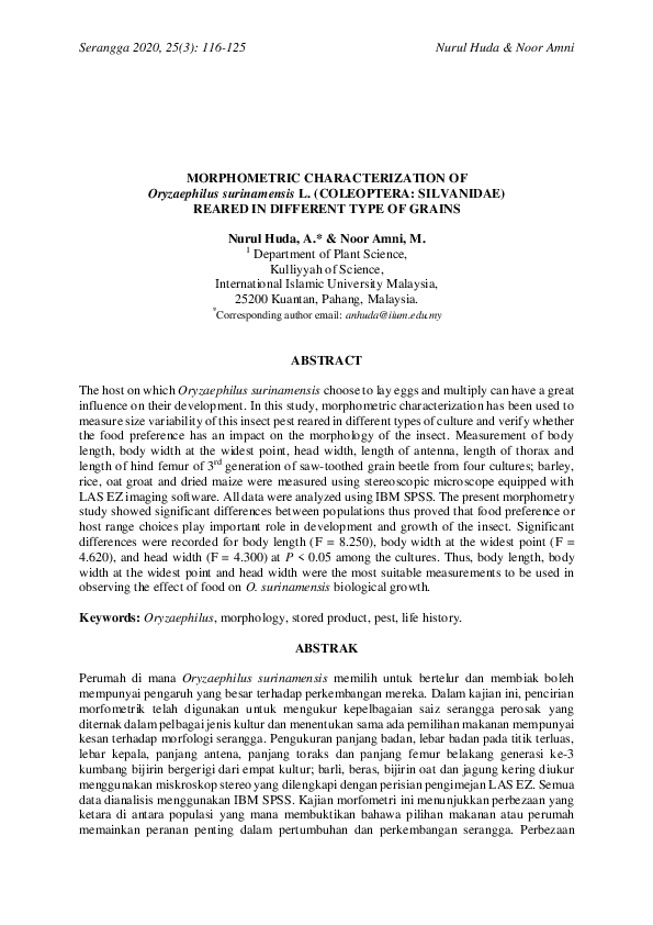 (PDF) MORPHOMETRIC CHARACTERIZATION OF Oryzaephilus surinamensis L. (COLEOPTERA: SILVANIDAE ...