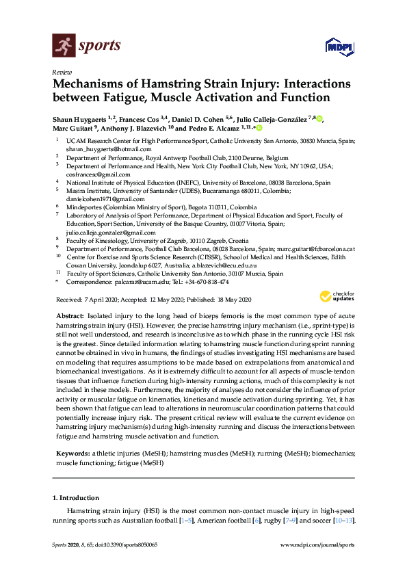 (PDF) Mechanisms of Hamstring Strain Injury: Interactions between ...