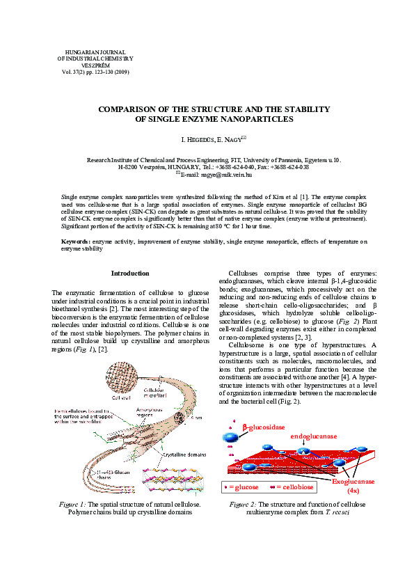 (PDF) Comparison of the Structure and the Stability of Single Enzyme ...