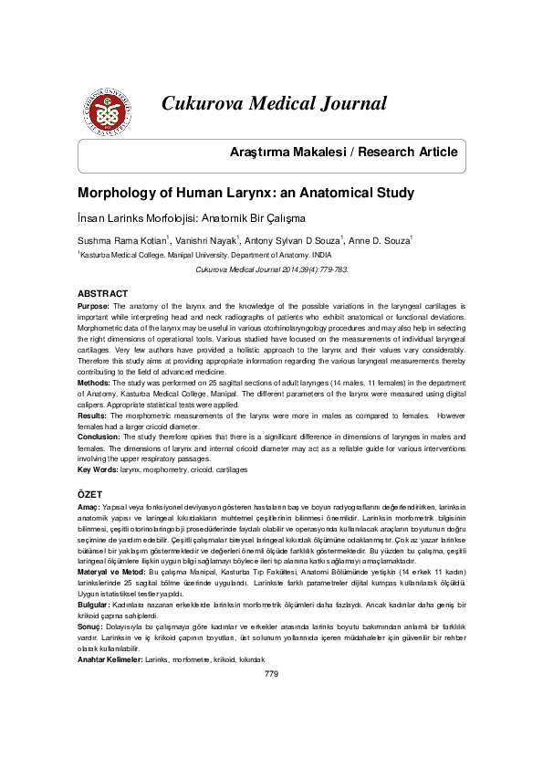(PDF) İnsan Larinks Morfolojisi: Anatomik Bir Çalışma