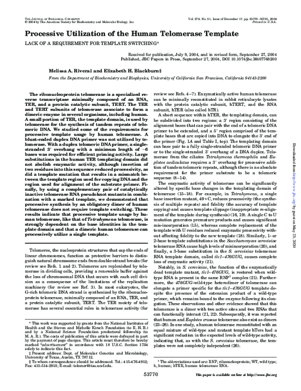 (PDF) Processive Utilization of the Human Telomerase Template