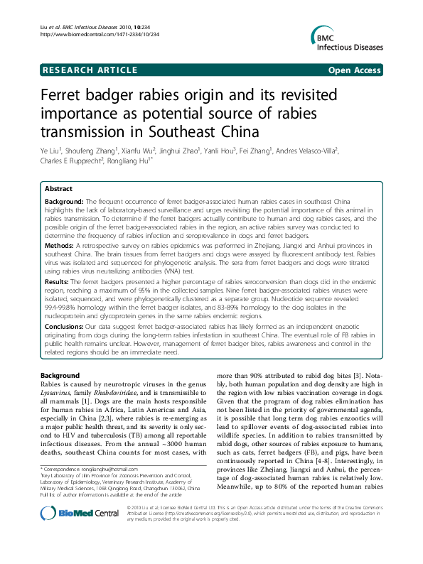 (PDF) Ferret badger rabies origin and its revisited importance as ...