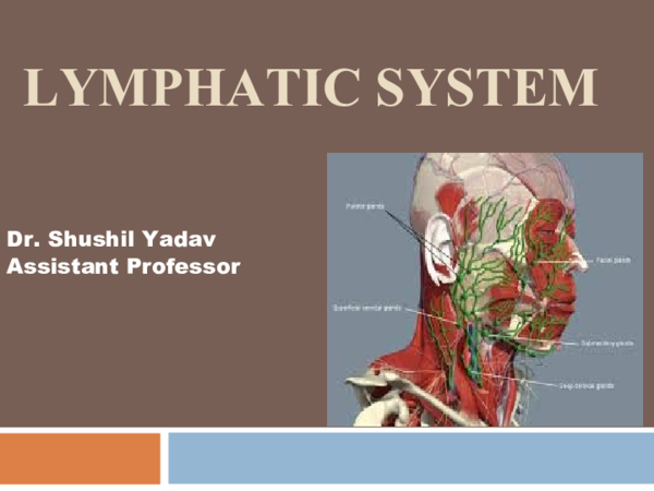 (PPT) Lymphatic system
