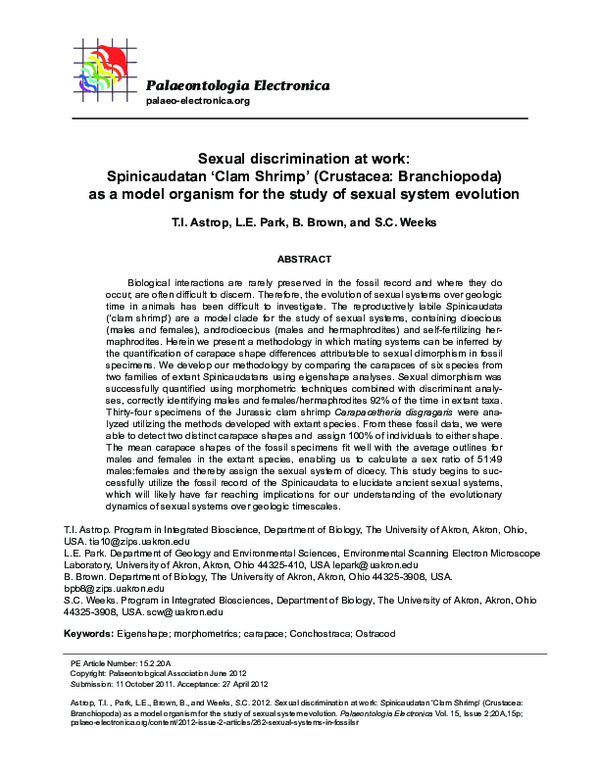 (PDF) Sexual discrimination at work: Spinicaudatan ‘Clam Shrimp ...