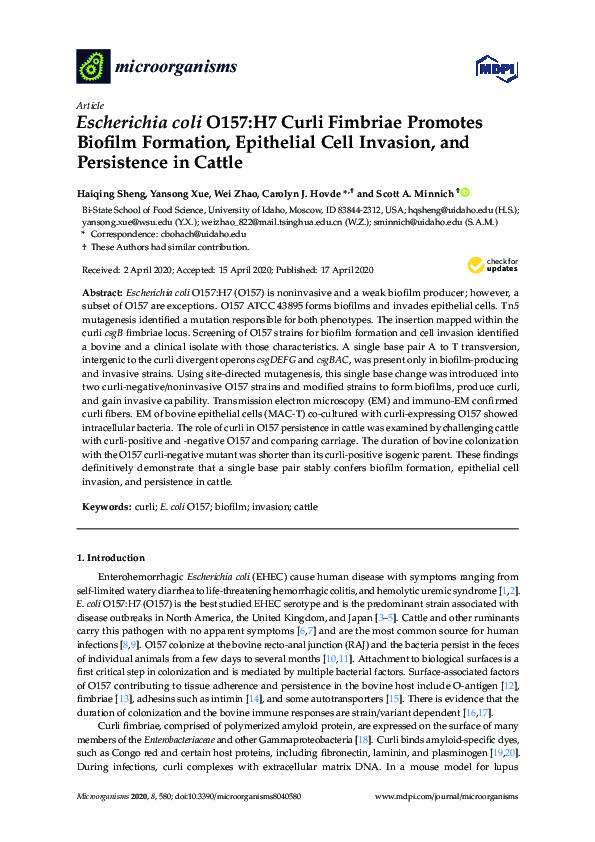 (PDF) Escherichia coli O157:H7 Curli Fimbriae Promotes Biofilm ...