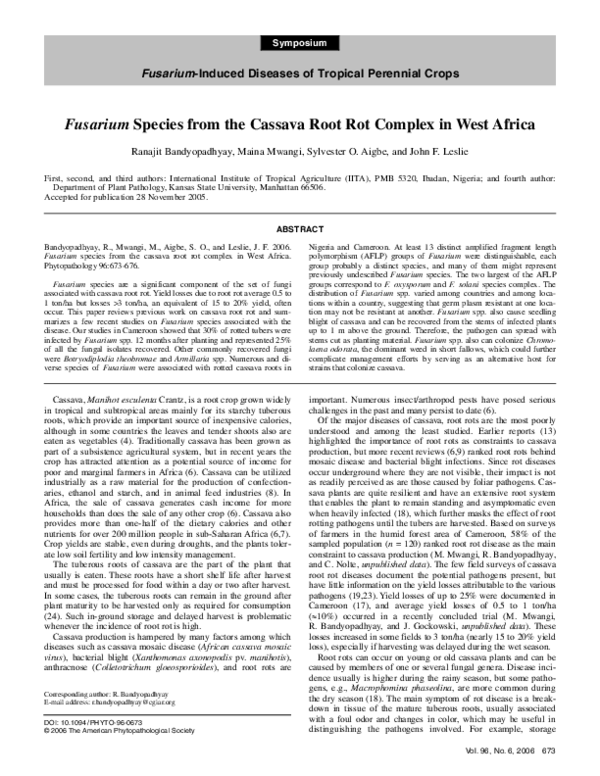 (PDF) Fusarium Species from the Cassava Root Rot Complex in West Africa