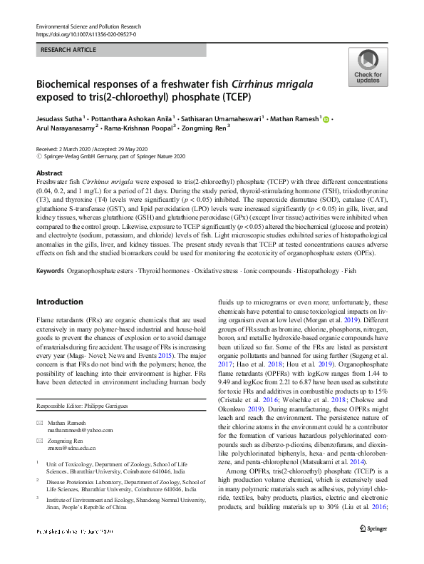 (PDF) Biochemical responses of a freshwater fish Cirrhinus mrigala ...